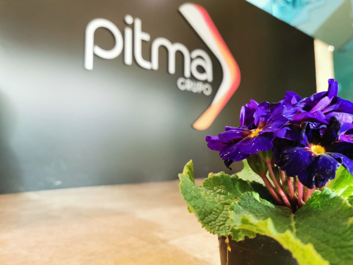 El grupo PITMA involucra a todos sus empleados con el Día Internacional ...